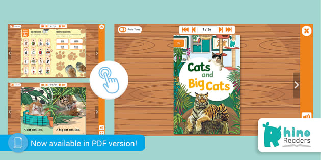 Level 2b Decodable Readers: Cats and Big Cats (teacher made)