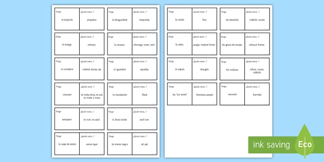 Global Issues 2 Loop Cards Spanish (teacher made) - Twinkl