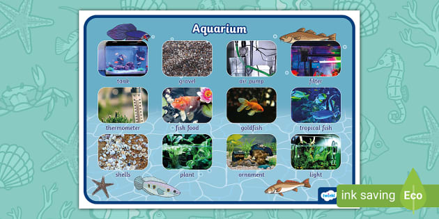 Aquarium Themed Word Mat (Teacher-Made) - Twinkl