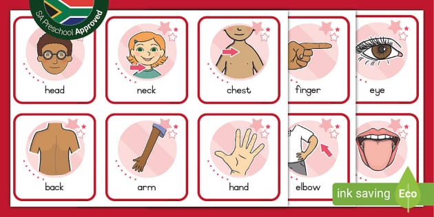 My Body: Body Parts Flashcards (teacher made) - Twinkl