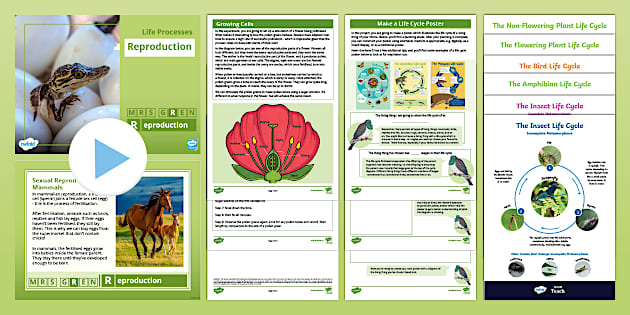 Year 5-8 Life Processes - Reproduction in Organisms - Twinkl