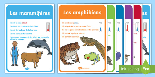 Posters : La classification des animaux