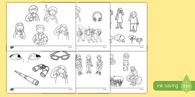 My Senses Colouring Pages (teacher made)