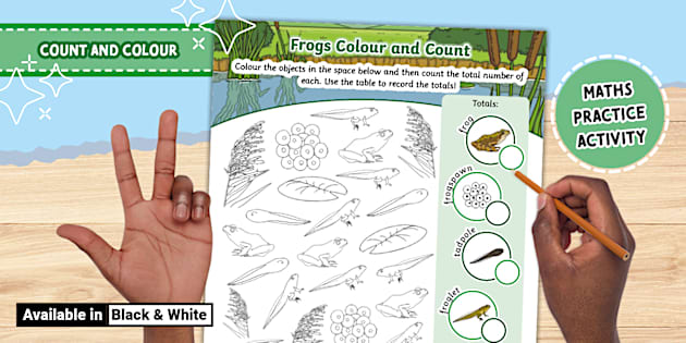 Frogs Colour and Count Worksheet - Twinkl