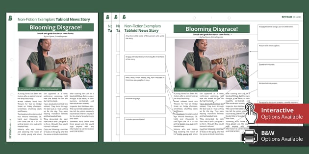Newspaper Article Example KS3 Non Fiction Texts Beyond