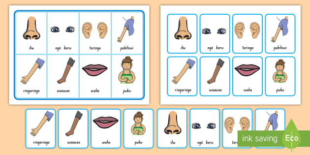 Body Game - Matching Cards and Board in Te Reo Māori