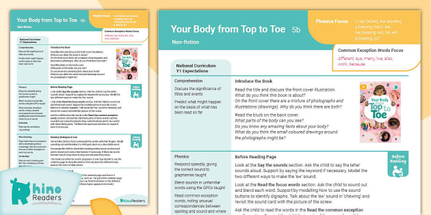 Level 5b Your Body from Top to Toe: Teacher Guide - Twinkl