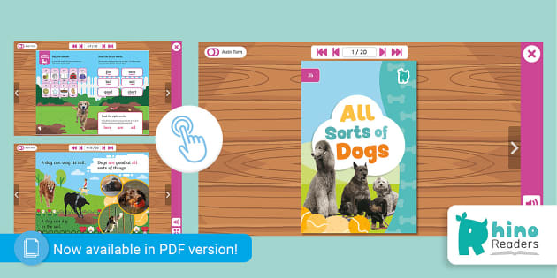 Level 3b Decodable Readers: All Sorts of Dogs - Twinkl