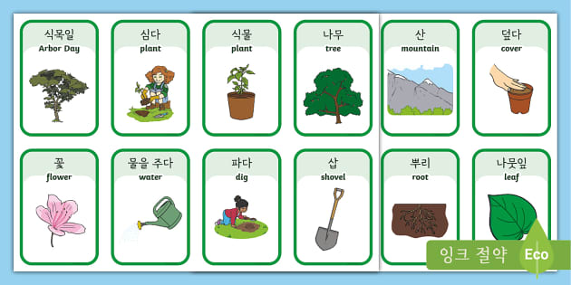 식목일 단어 카드 Arbor Day Word Cards (teacher made)