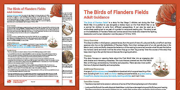 'The Birds of Flanders Fields' Adult Guidance | Twinkl Originals
