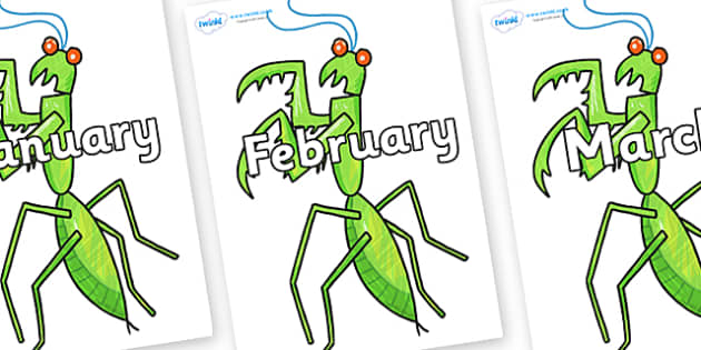 FREE! - Months of the Year on Praying Mantis to Support Teaching on The Bad