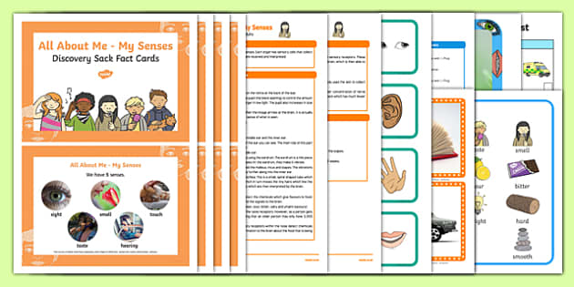 Ourselves All About Me My Senses Discovery Sack - Twinkl