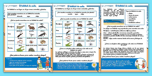 Hoja informativa por niveles: El hábitat de costa - Twinkl