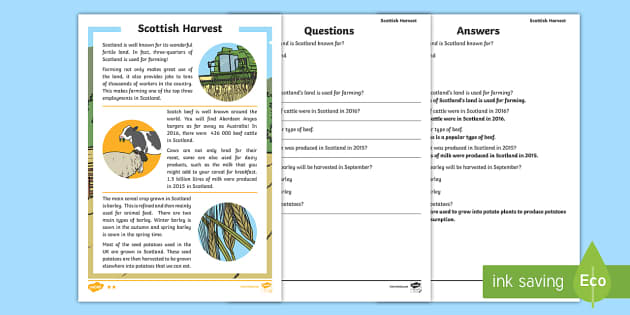 Harvest Differentiated Reading Comprehension Activity