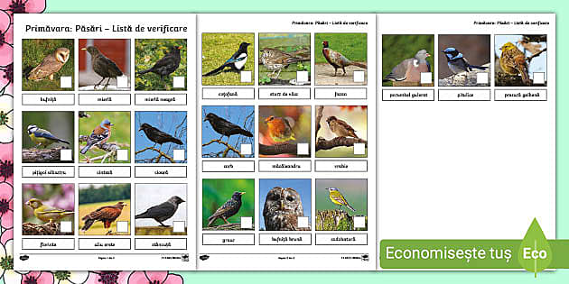 Primăvara: Vânătoarea mea de păsări – Listă de verificare