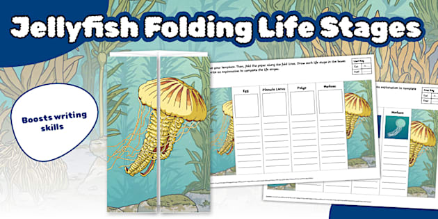 Jellyfish Folding Life Stages Template