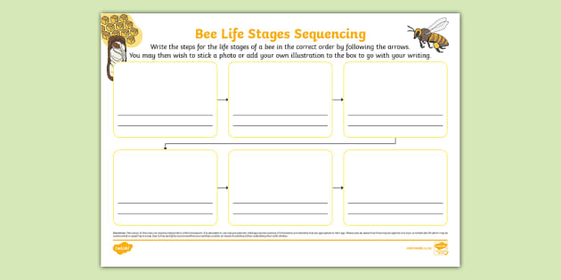 Bee Life Stages Sequencing Mind Map (teacher made) - Twinkl