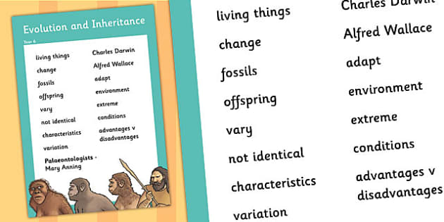 Year 6 Evolution and Inheritance Scientific Vocabulary Poster