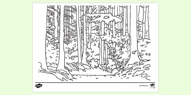 FREE! - Woodland Background Colouring | Colouring Sheets