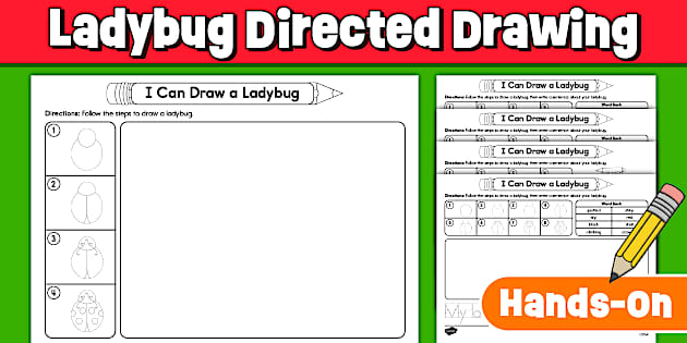 Ladybug Directed Drawing | Printable Draw and Write Worksheets