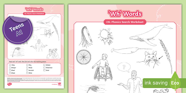 ESL 'Wh' Words Phonics Search Worksheet (teacher made)