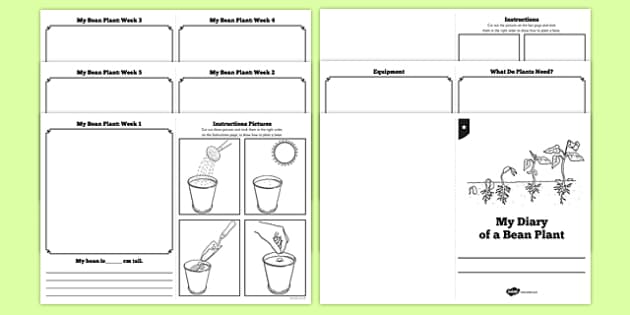 FREE! - My Diary of a Bean Plant Booklet Template - Bean, growth, plant ...