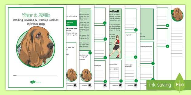 Year 6 SATs Survival: Reading Revision & Practice Inference Iggy Booklet
