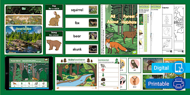 Forest Habitat Activity Pack for PK-K (teacher made)