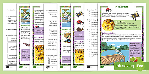 Minibeasts Insect Reading Comprehension Worksheets PDF