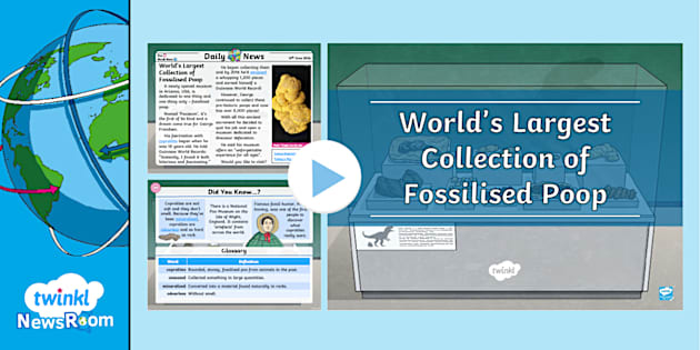 World’s Largest Collection of Fossilised Poop | Twinkl Resources
