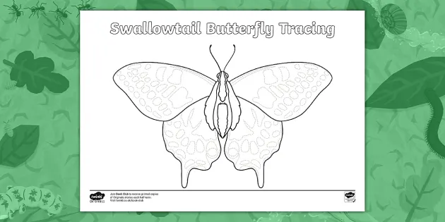 Tracing Pictures Of Butterfly