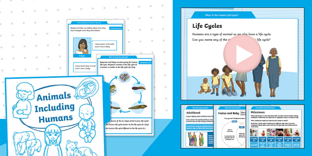 Step into Science: Y5: Spring: Block 2: Animals Including Humans: Steps ... Step into Science: Y5: Spring: Block 2: Animals Including Humans: Steps ...