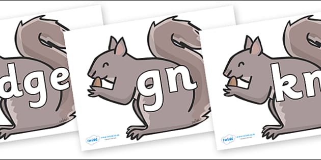 Silent Letters on Grey Squirrels (teacher made) - Twinkl
