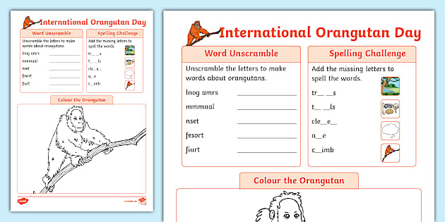 KS1 International Orangutan Day Boredom Buster - Twinkl