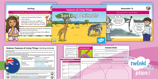 Year 1 Science Features of Living Things Lesson 6 - Twinkl
