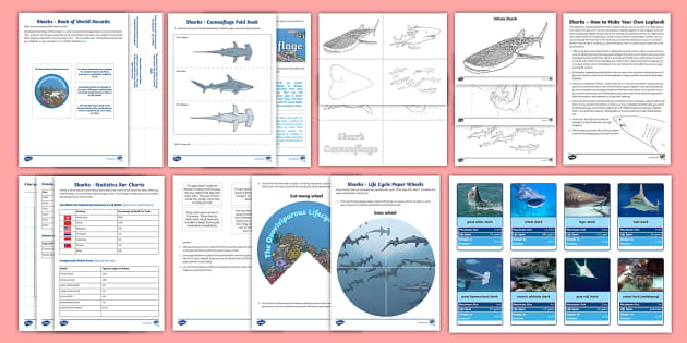 FREE! - Sharks Lapbook (teacher made) - Twinkl