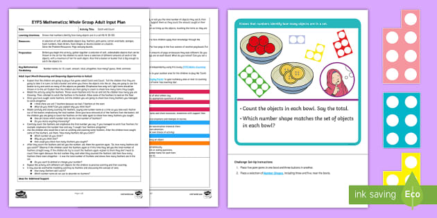 Kindergarten Maths: Catch and Count Group Activity Adult Input Plan