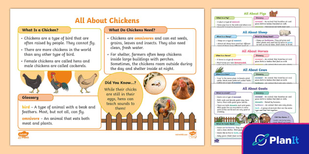 Farm Animals Fact File Pack (teacher made) - Twinkl