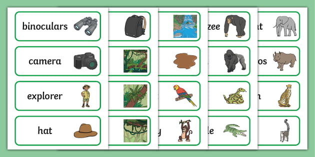 Jungle Explorers Role-Play Word Cards