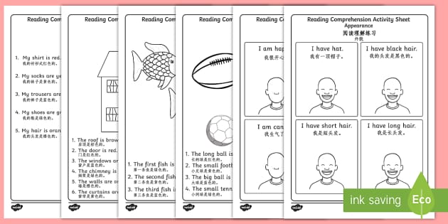 Reading Comprehension Worksheet / Worksheets English/Mandarin Chinese