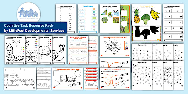 Cognitive task, Singapore,Neurodiverse, Inclusive Classroom