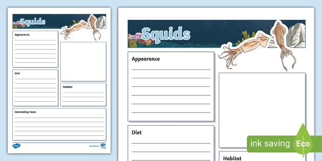 Squids Fact File Template (l'enseignant a fait) - Twinkl