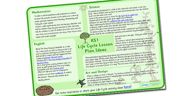 Life Cycle Lesson Plan Ideas teacher Made Twinkl life-cycle-lesson-plan-ideas-teacher-made-twinkl