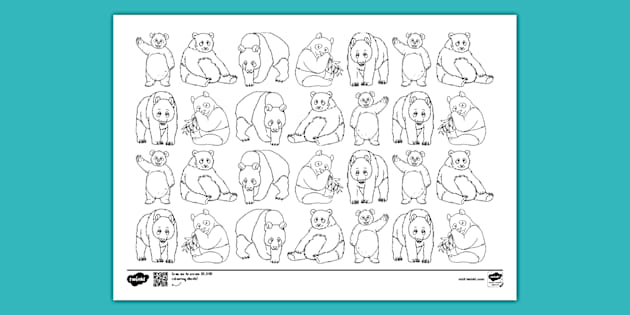 Panda Doodle Colouring Page - Twinkl