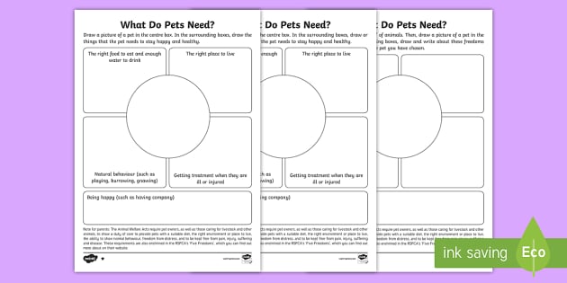 What Do Pets Need? Differentiated Worksheet (teacher made)
