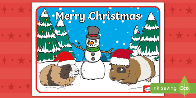 Christmas Guinea Pig Display Poster (Teacher-Made) - Twinkl