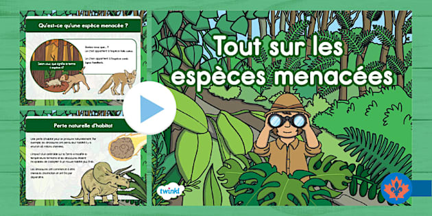 All About Endangered Species Primary French - Twinkl