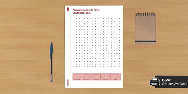 Áiseanna sa Bhaile Mhór (Cuardach Focal) (teacher made)