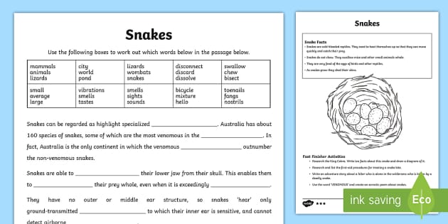 Australian Animals Years 3-6 Snakes Differentiated Worksheet / Worksheets