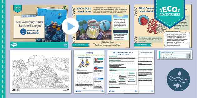 Y4 Water: Lesson 5 - Can We Bring Back the Coral Reefs?
